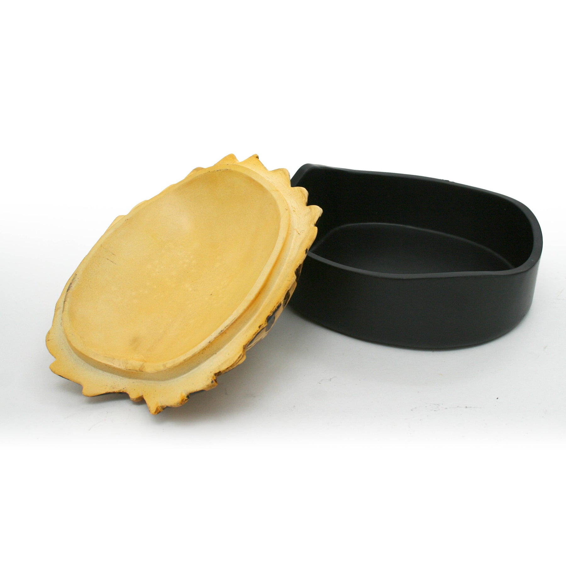 Turtle Shell Box – Shoppe NEAT