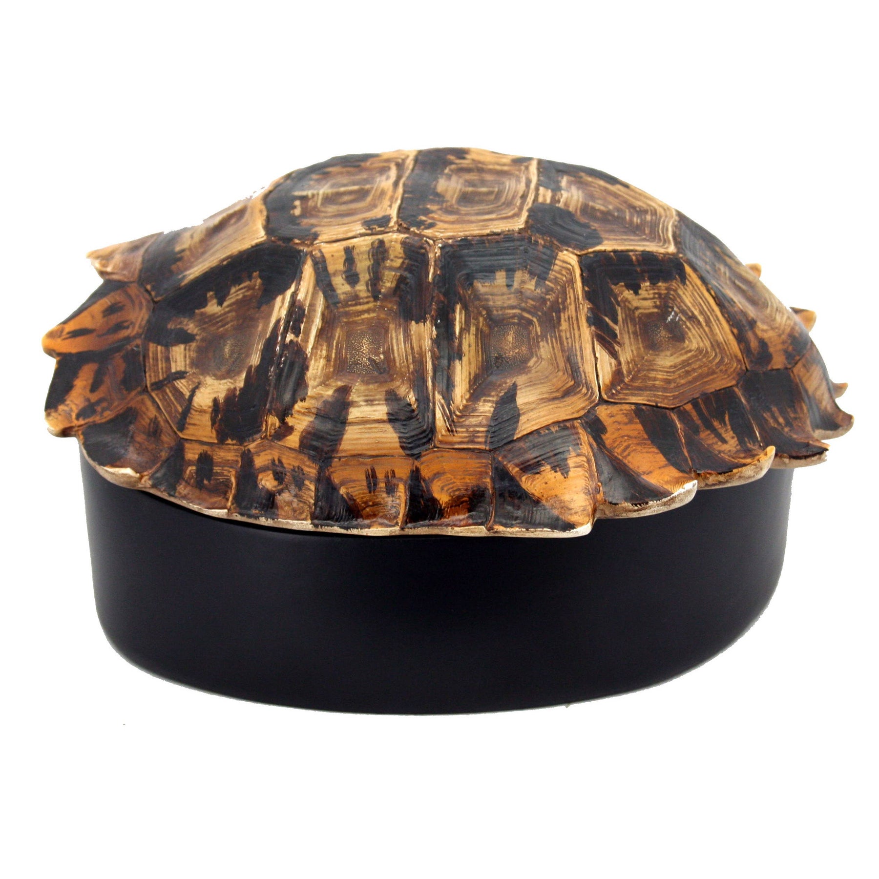 Turtle Shell Box – Shoppe NEAT