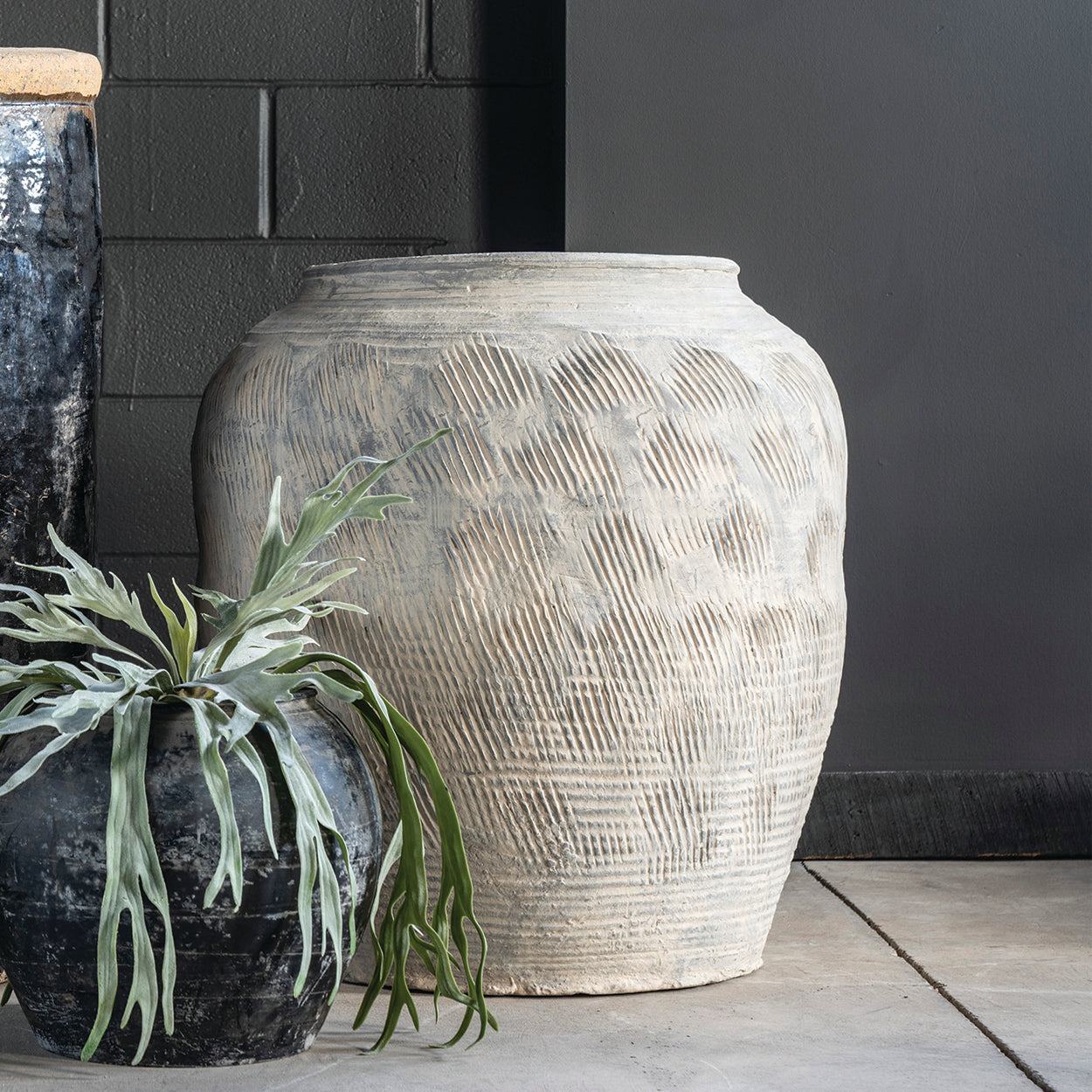 Chinese Water Pot - Large – Shoppe NEAT