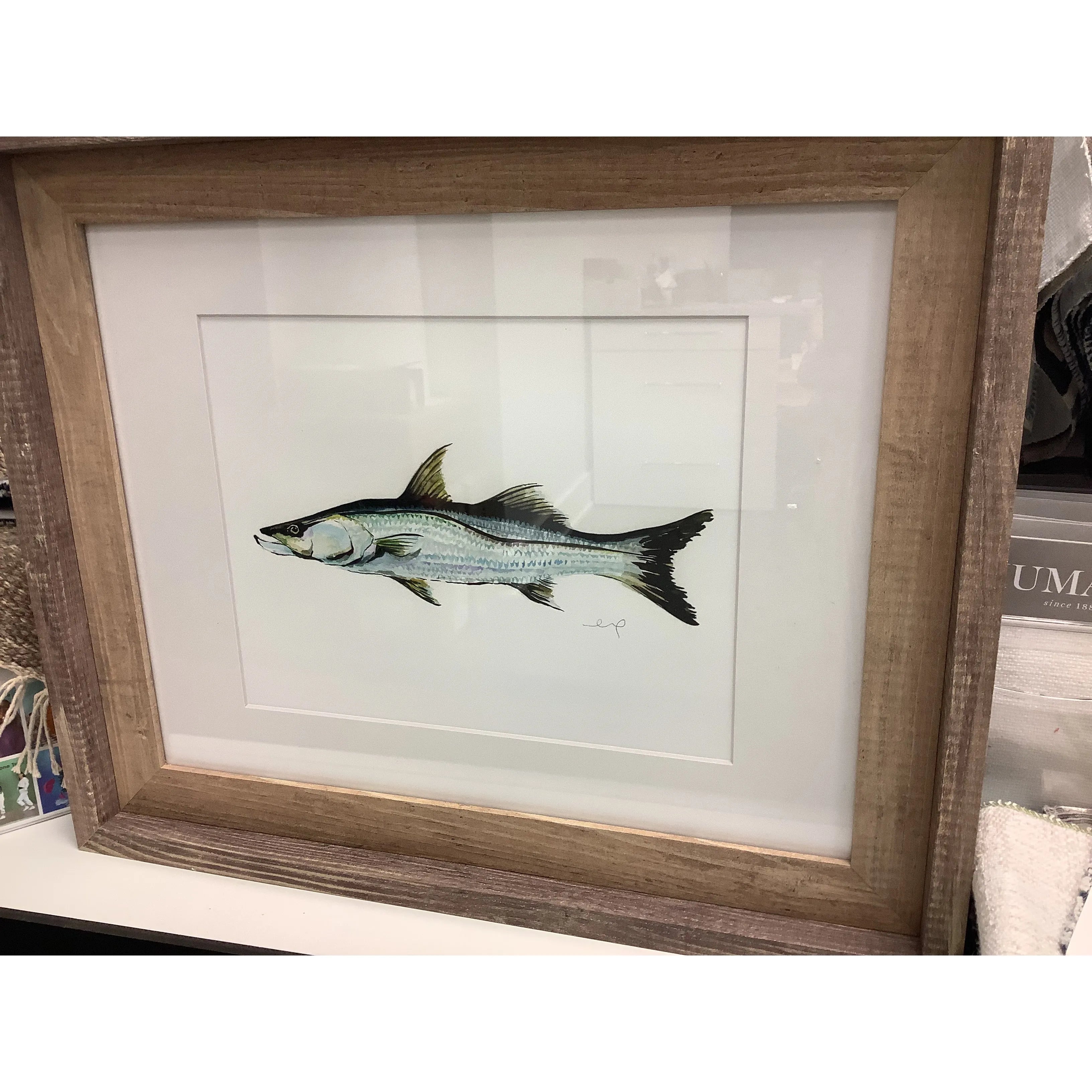11x14 Fish Print in Wooden Frame – Shoppe NEAT